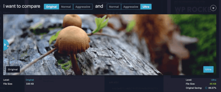 6 Reasons Your Images Are Slowing Down Your Websites