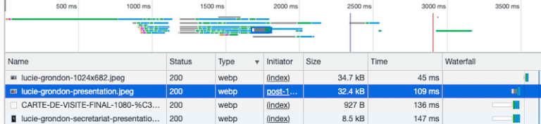 The 4 Best WebP Plugins for WordPress - Imagify