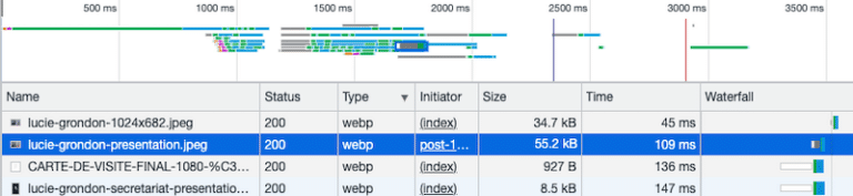 The 4 Best WebP Plugins for WordPress - Imagify