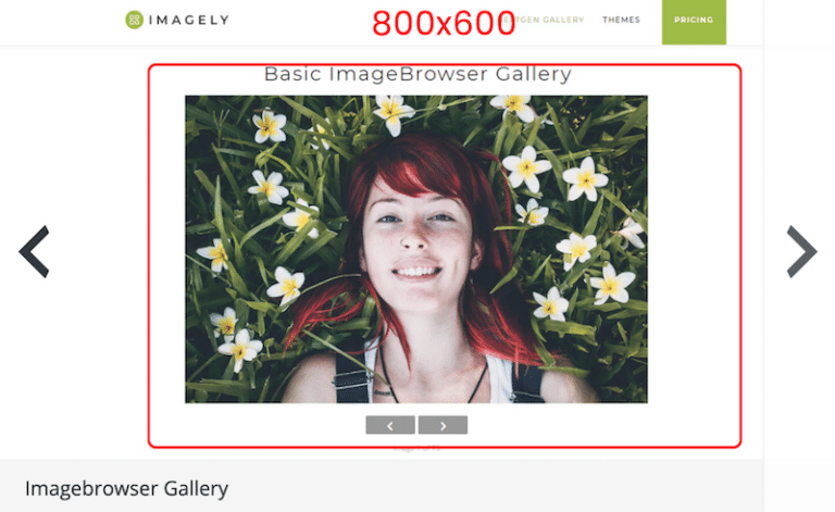 The Best Image Sizes for Your Website - Imagify