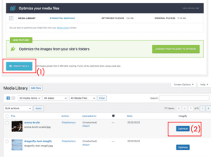 What’s Image Compression and How it Works