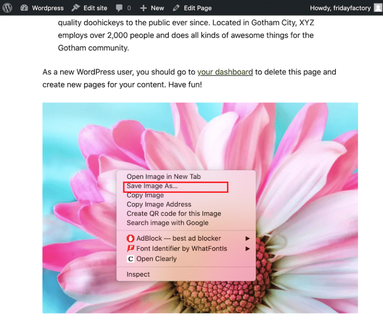 How to Use WebP Images on WordPress: Everything You Need to Know