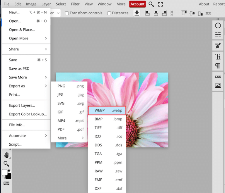 How to Use WebP Images on WordPress: Everything You Need to Know