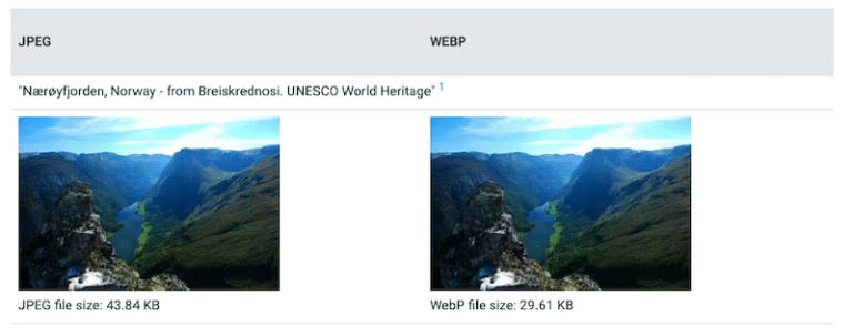 How to Use WebP Images on WordPress: Everything You Need to Know