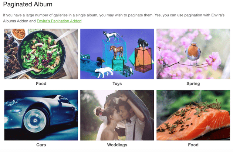 4 Best Gallery Plugins for WordPress (With Performance Tests) - Imagify