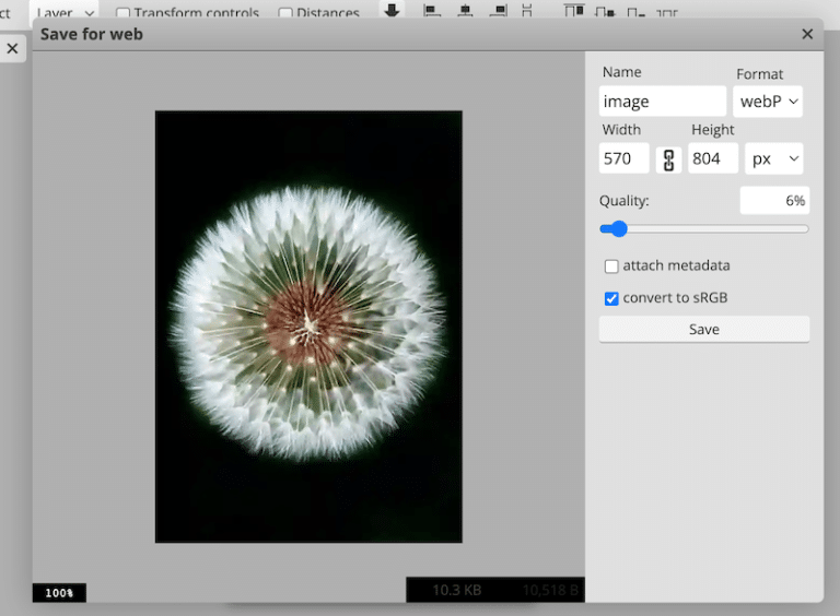 Lossy vs Lossless Image Compression: What’s the Difference?